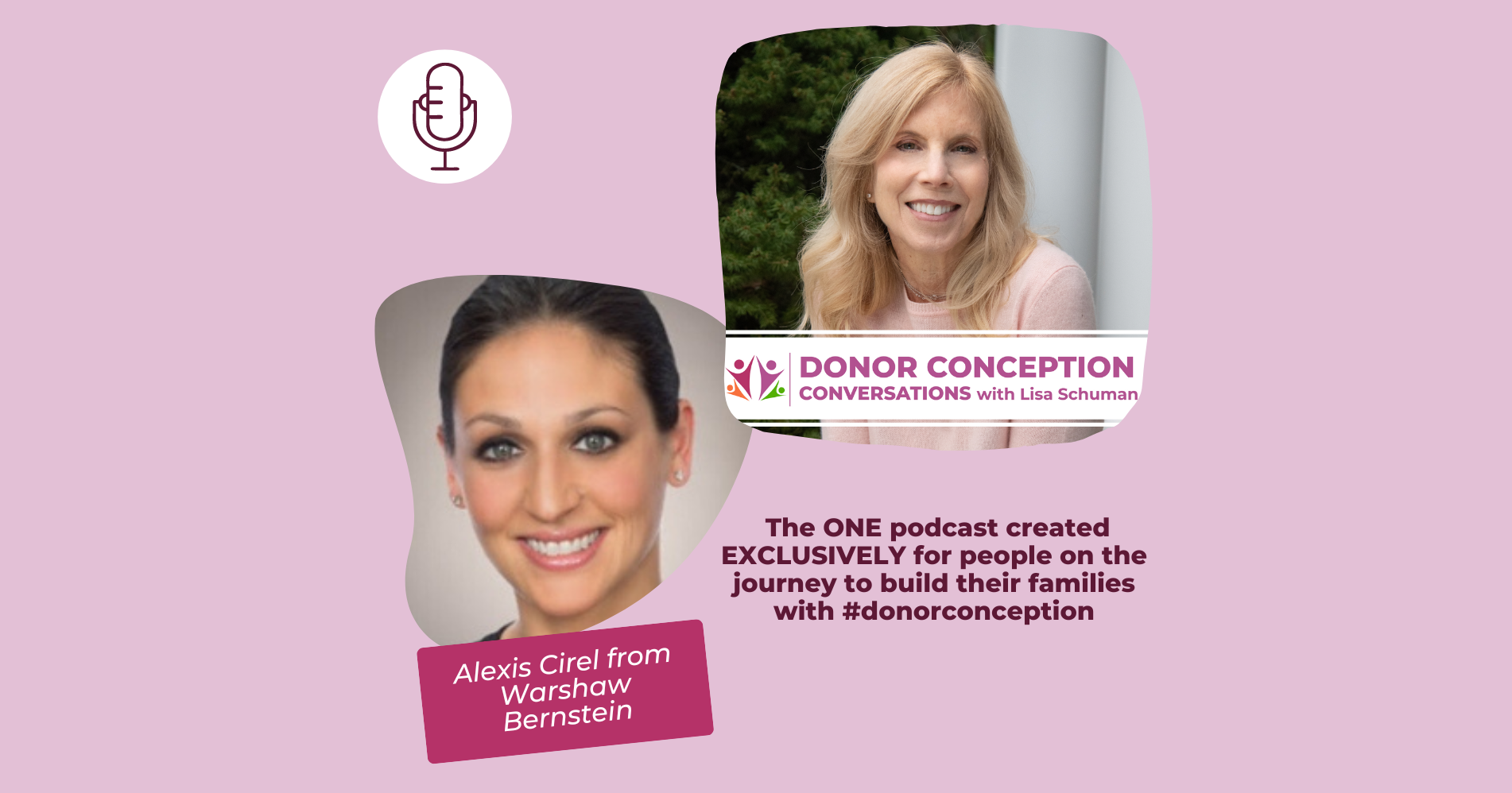 Warshaw Burstein LLP | Fertility Law Group | The Center For Family Building “Donor Conception ...